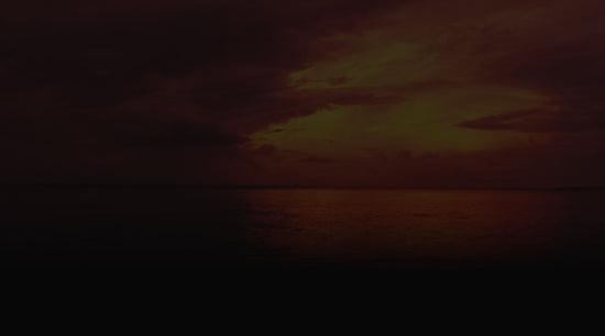 Backwoods X GasHouse | Backwoods Official – Backwoods Official Store